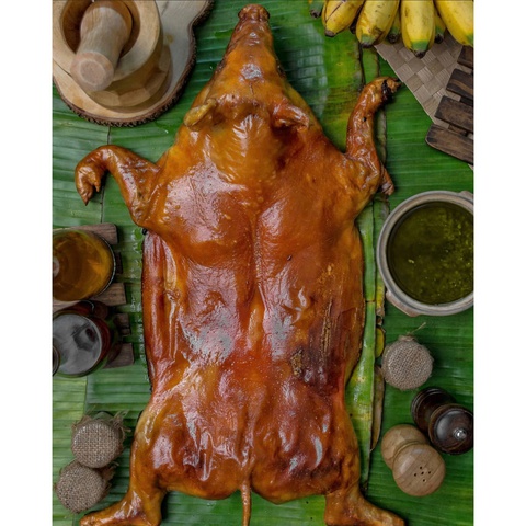 Cerdo Lechón | Cerdo de exportación